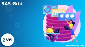SAS Grid | SAS Grid Computing and Legacy | Example | FAQ
