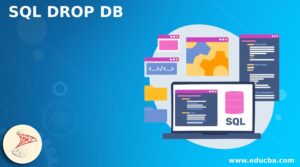 SQL DROP DB | Command Usage of Drop Database in SQL Server
