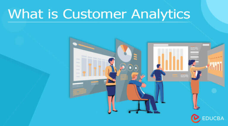 What is Customer Analytics | Importance | Benefits