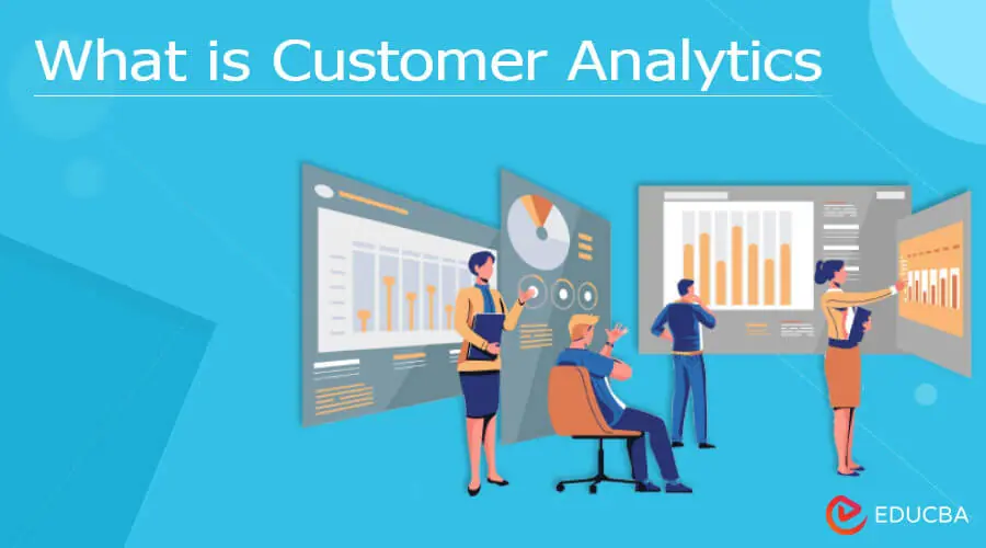 What is Customer Analytics | Importance | Benefits