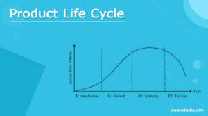 Product Life Cycle | How is the Product Life Cycle calculated with Stages?