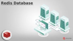 Redis Database | Which Keys Serve the Redis Database? | Working | FAQ