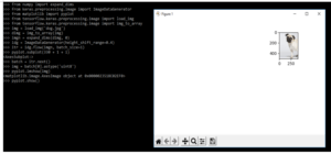 Keras Data Augmentation | How to Use Image Augmentation in Keras?