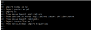 Keras EfficientNet | Complete Guide to the Keras EfficientNet