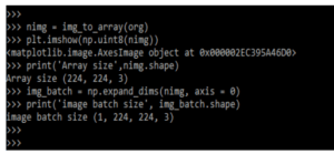 Keras ResNet50 | Image File Handling and Transfer Learning
