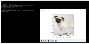 Keras ResNet50 | Image File Handling and Transfer Learning
