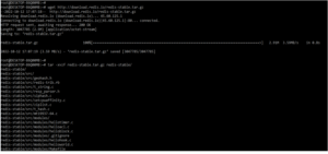 Redis pipeline | Features to Send Multiple Commands to Server