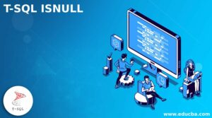 T-SQL ISNULL | How to Work T-SQL ISNULL with Function and Examples?