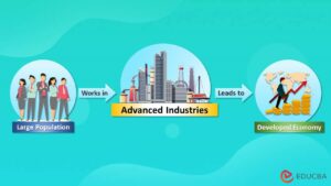 Developed Economy: Definition, How it Works, Examples