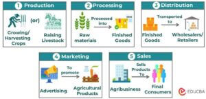 Agribusiness | Meaning, Examples, How it Works, Careers