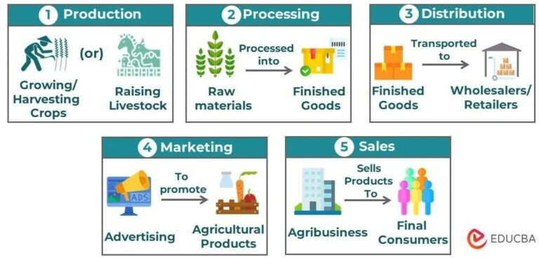 Agribusiness | Meaning, Examples, How it Works, Careers