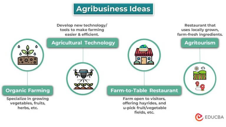 Agribusiness | Meaning, Examples, How it Works, Careers