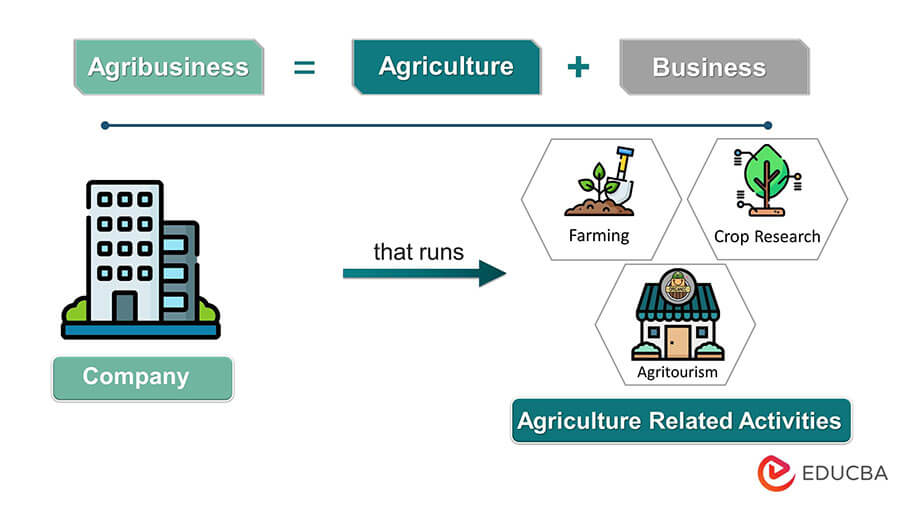 Agribusiness Meaning Examples How It Works Careers