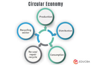 Circular Economy: Meaning, How it Works, Real-World Examples