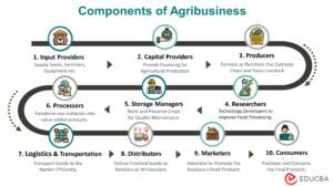 Agribusiness | Meaning, Examples, How it Works, Careers