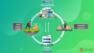 Circular Flow of Income: Definition, Examples, Types, Methods