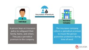 Insurance Premium | Definition, Types, Examples, Calculator