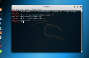 Kali Linux Hydra | Techniques that Help to Avoid Brute Force Attacks