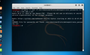 Kali Linux Hydra | Techniques that Help to Avoid Brute Force Attacks