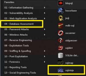Kali Linux Penetration Testing | Different Database Tools for Testing