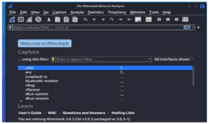 Kali Linux Wireshark | How to Install & Use Wireshark on Kali Linux?