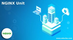 NGINX Unit | Configuration Files and Key Features of NGINX Unit