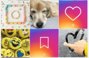 ReactJS Projects Examples Moderate Level - Step by Step