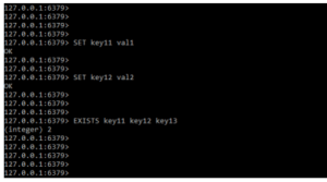 Redis EXISTS | How to Check if Key has been Set and Exists in Redis?