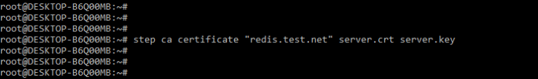 Redis TLS | Enabling TLS in Redis at the time of Compilation Redis TLS | Enabling TLS in Redis at the time of Compilation
