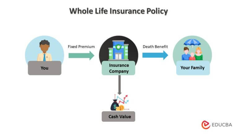 How Insurance Works? - Meaning, Types, Benefits, Examples