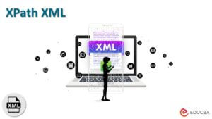 XPath XML | Definition, Example, Evaluting and FAQs