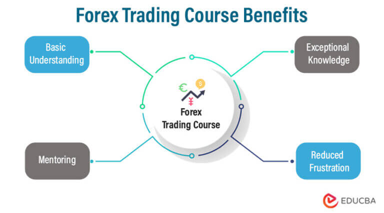 4 Reasons to Take a Trading in Forex Course | EDUCBA