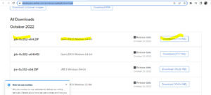 Java 8 OpenJDK | How to Download & Install Java 8 OpenJDK Packages?