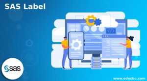 SAS Label | How to Create SAS Label with Steps and Examples?