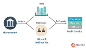 Taxation: Definition, Real Examples, Principles, Types