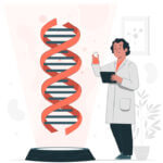 Genetic Engineering | Process, Advantages & Disadvantages