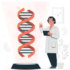 Genetic Engineering | Process, Advantages & Disadvantages