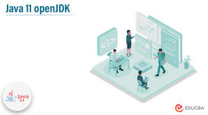 Java 11 openJDK | How to Download & Install Java 11 OpenJDK?