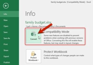 Compatibility Mode in Excel: Definition, Working, Example