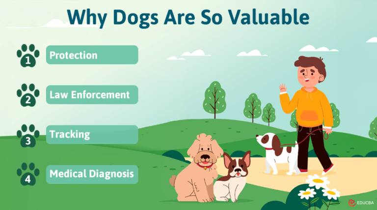 Essay on Dog - Reasons Why Dogs Are So Valuable