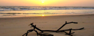 Tourist Places in Udupi (Updated 2023) | Beautiful Beach, Temple, Food