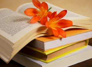 Essay on books | Importance, Uses, Types , Writing Skills