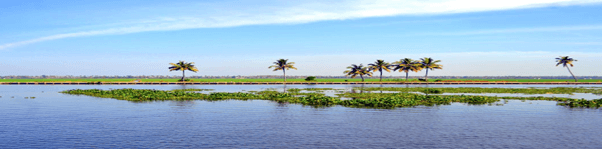 Tourist Places in Alappuzha | 6 Must-Visit Places in Alappuzha