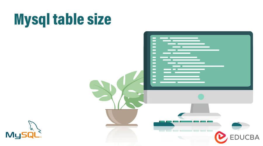 MySQL Table Size How To Check MySQL Database And Table Sizes 