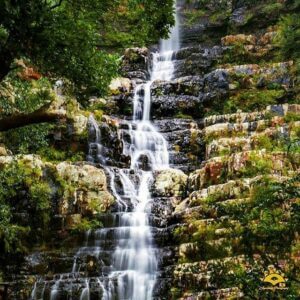 Top Tourist Places in Chittoor (Updated 2023) | Destination in South India