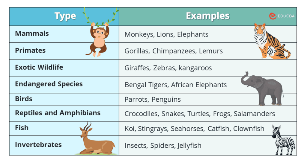 Essay on Zoo | Benefits, Problems, Future, Types of Animals in Zoos