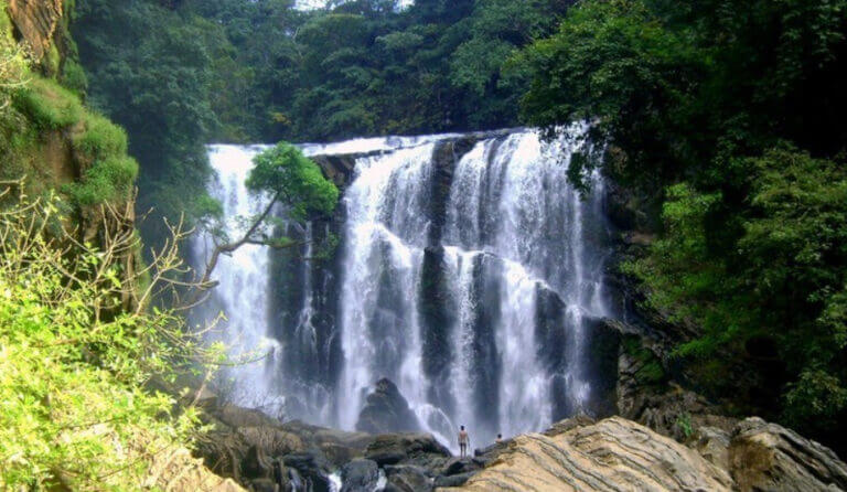 Tourist Places in Dandeli | Best 5 Tourist Places in Dandeli