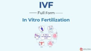 Full Form of IVF | How and When IVF is Done, Benefits, Risks