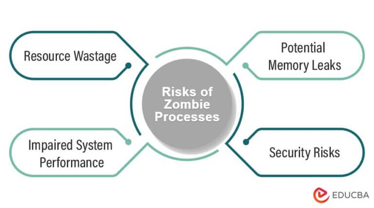 What is Zombie Process? | Find and Kill a Zombie Process on Linux