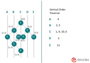 Vertical Order Traversal of a Binary Tree in Java | Analyzing the Structure